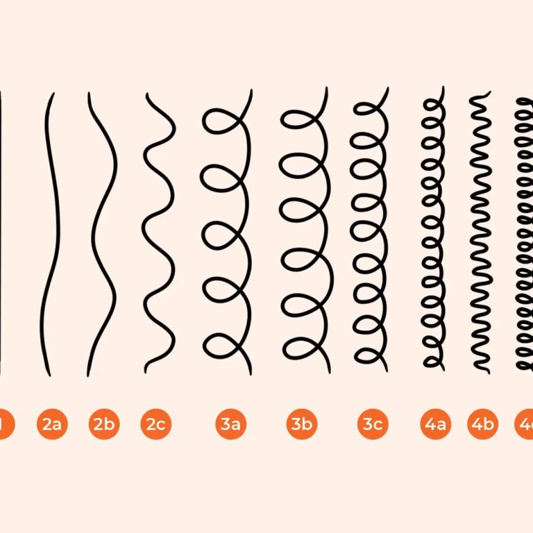 ماهي أنواع شعر الرأس - Helenie Cosmetics